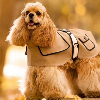 Obine Trench Coat | Premium Trench Coat for Dogs – BONDIR