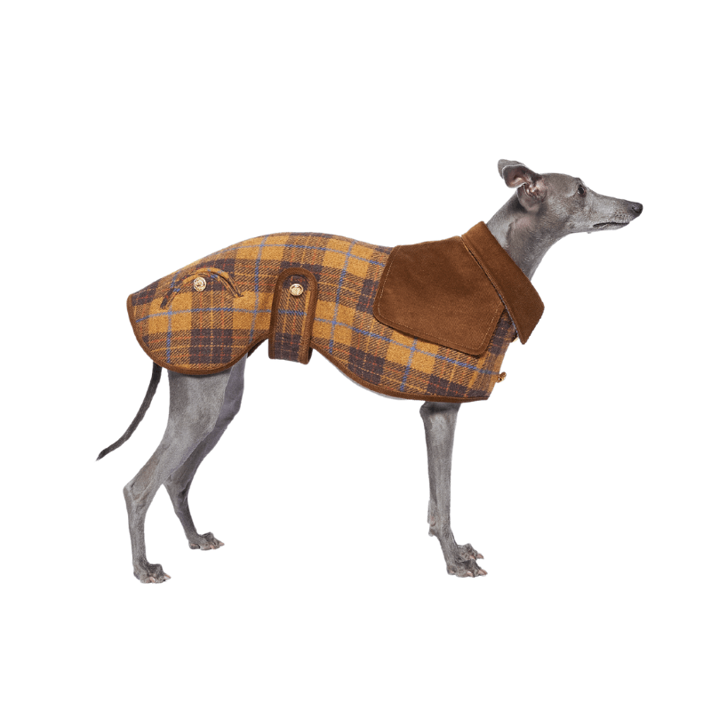 Heritage Highland Tartan Coat – BONDIR