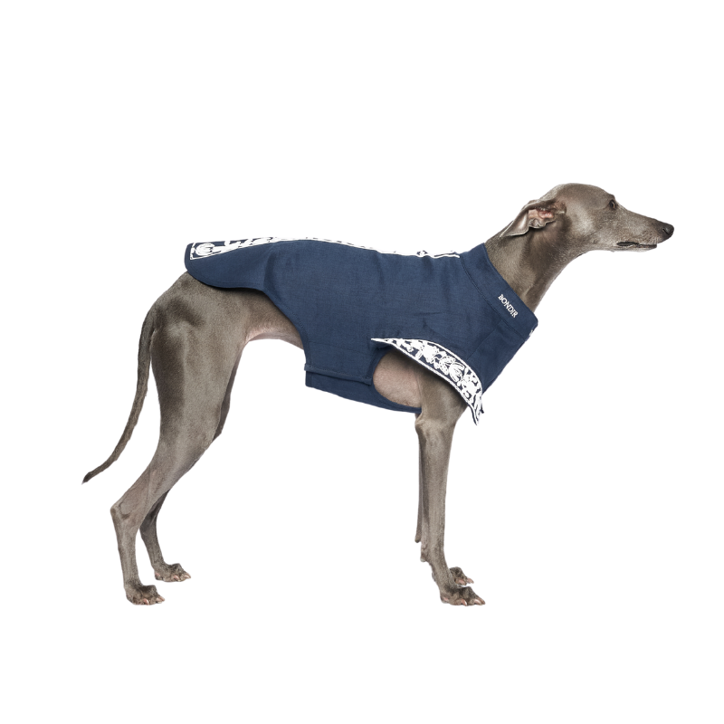 Metis Embroidered Linen Shirt for Dogs | BONDIR