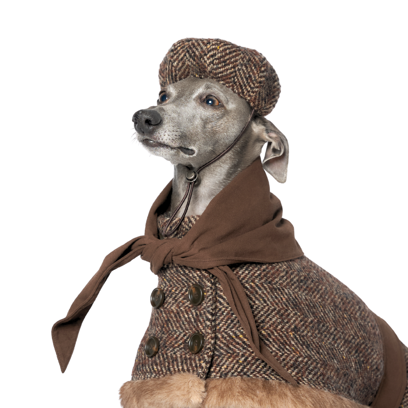 Barrow Dog Beret – BONDIR