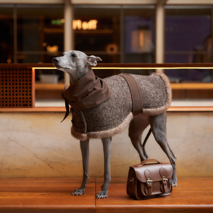 Best Designer Dog Coats | Wool Tweed Dog Coats for Small Dogs – BONDIR