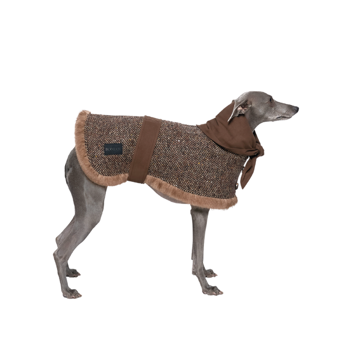 Dog Winter Coat with Hood | Dog Wool Jacket and Coat – BONDIR