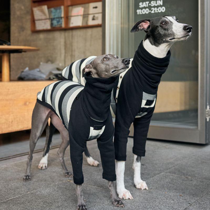 Zephyr Zebra Sweater – BONDIR