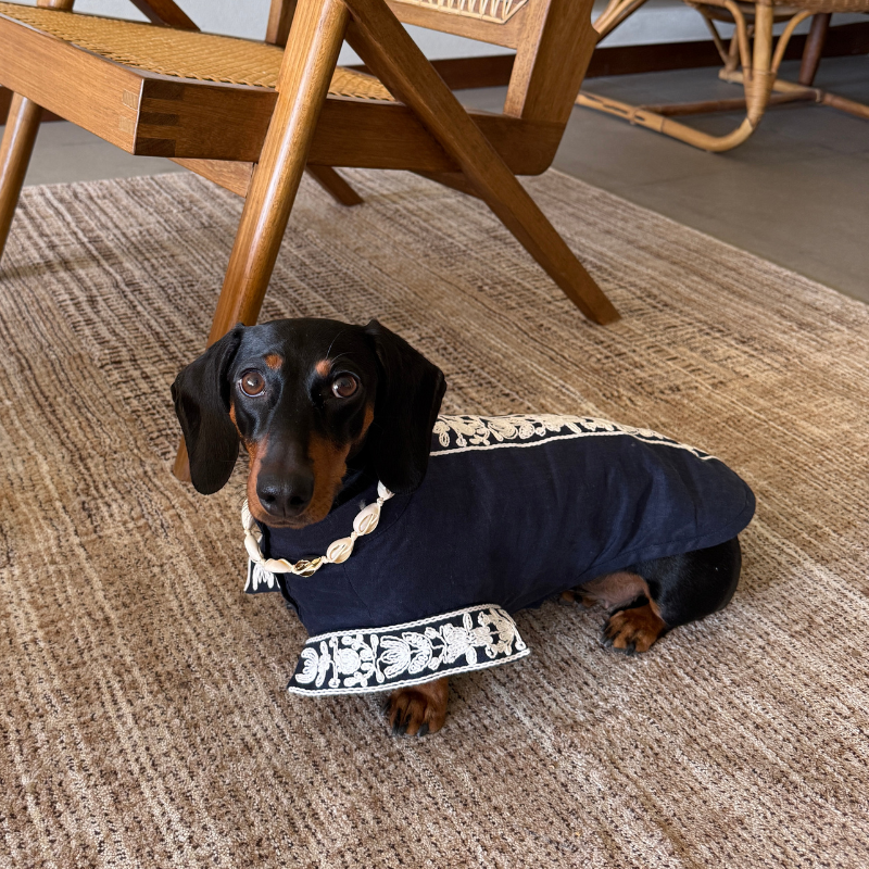 Metis Embroidered Linen Shirt for Dogs | BONDIR