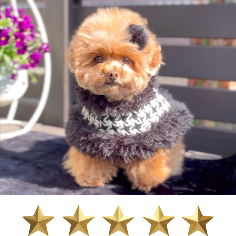 Bondir | Premium Fashion for Pets