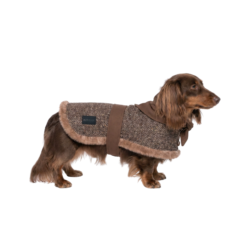 Best Designer Dog Coats | Wool Tweed Dog Coats for Small Dogs – BONDIR
