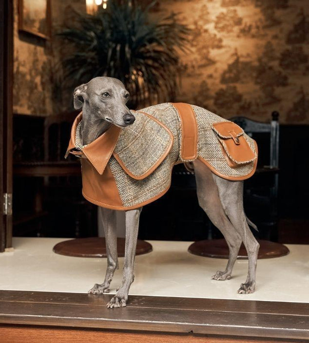 Buy Dog Premium Coats, Fur Jackets, and Capes | Bondir