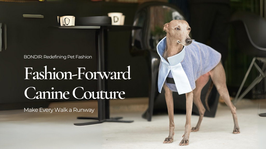 Bondir | Premium Fashion for Pets