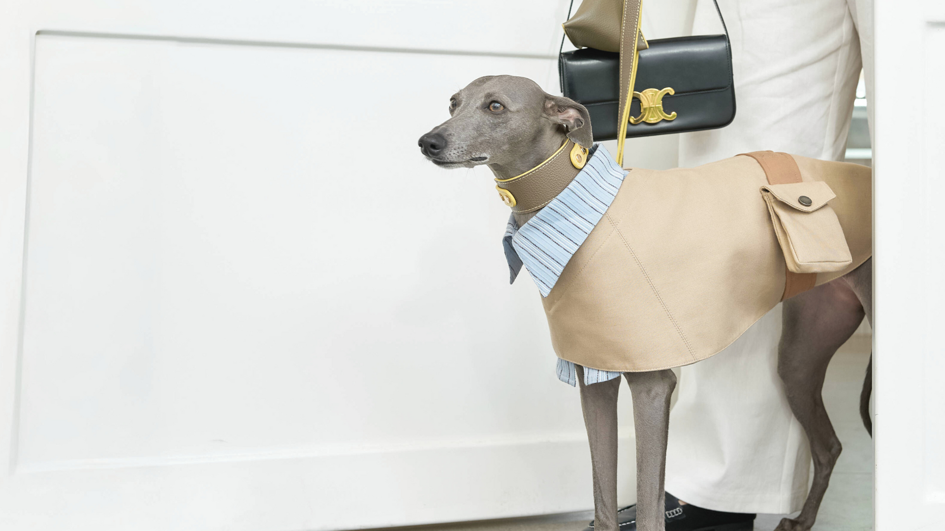 Bondir | Premium Fashion for Pets
