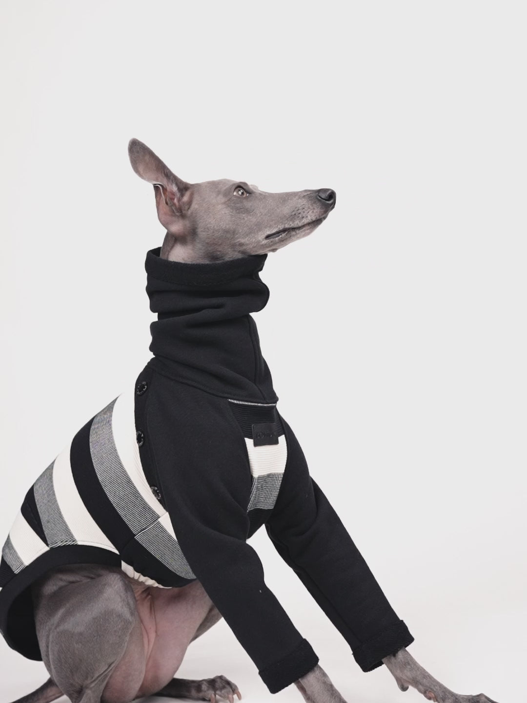 Zephyr Zebra Sweater – BONDIR